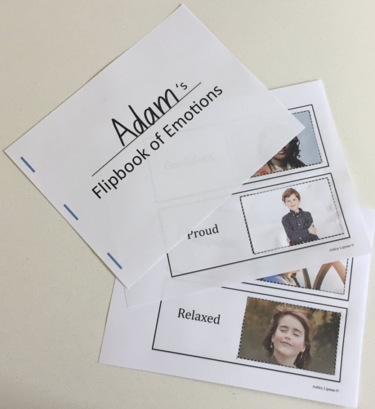 Flip Book of Emotions – Hub For Helpers
